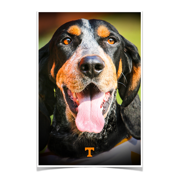 Tennessee Volunteers - Smokey Smiles - Vol Wall Art